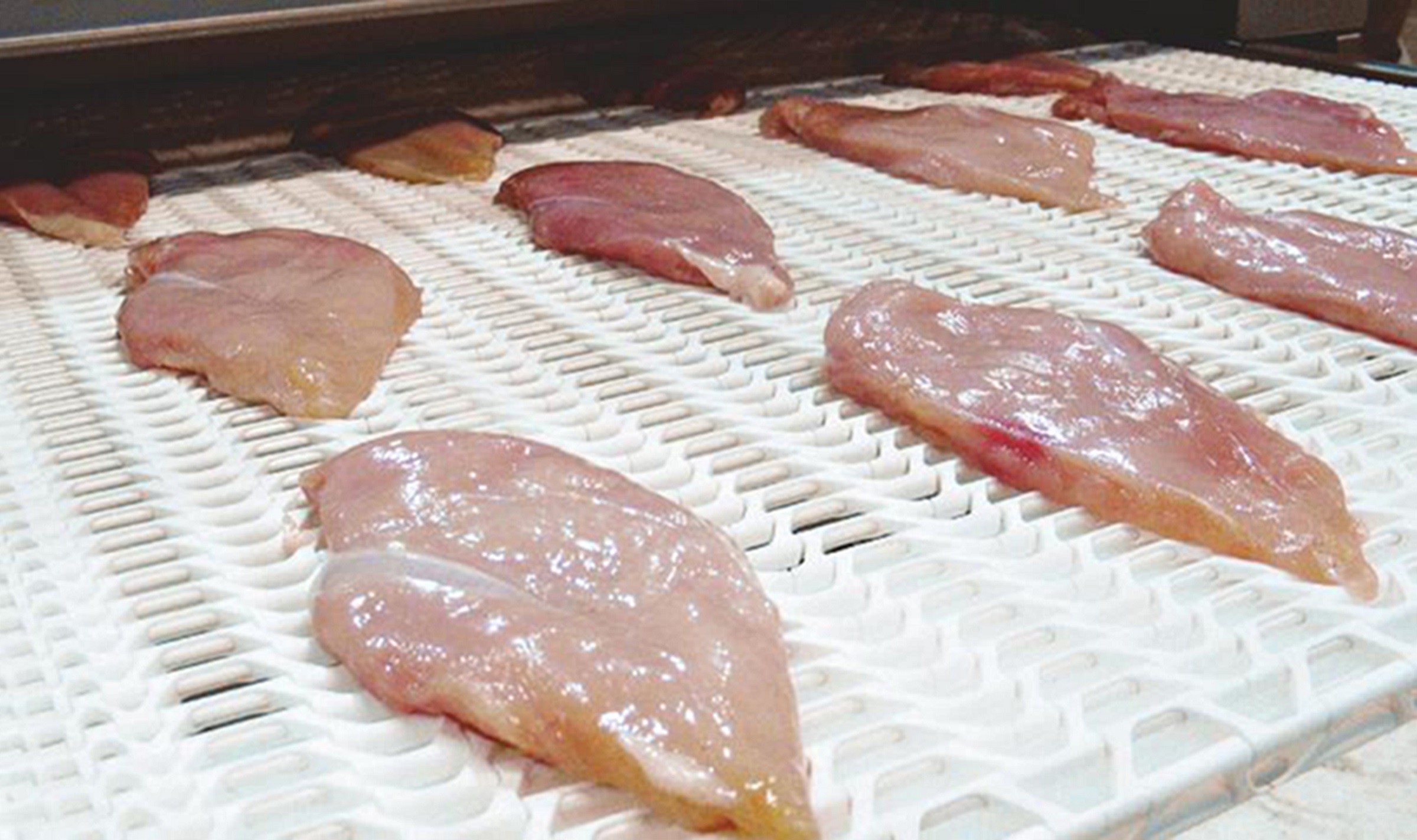 Platino Flattener - Makelis