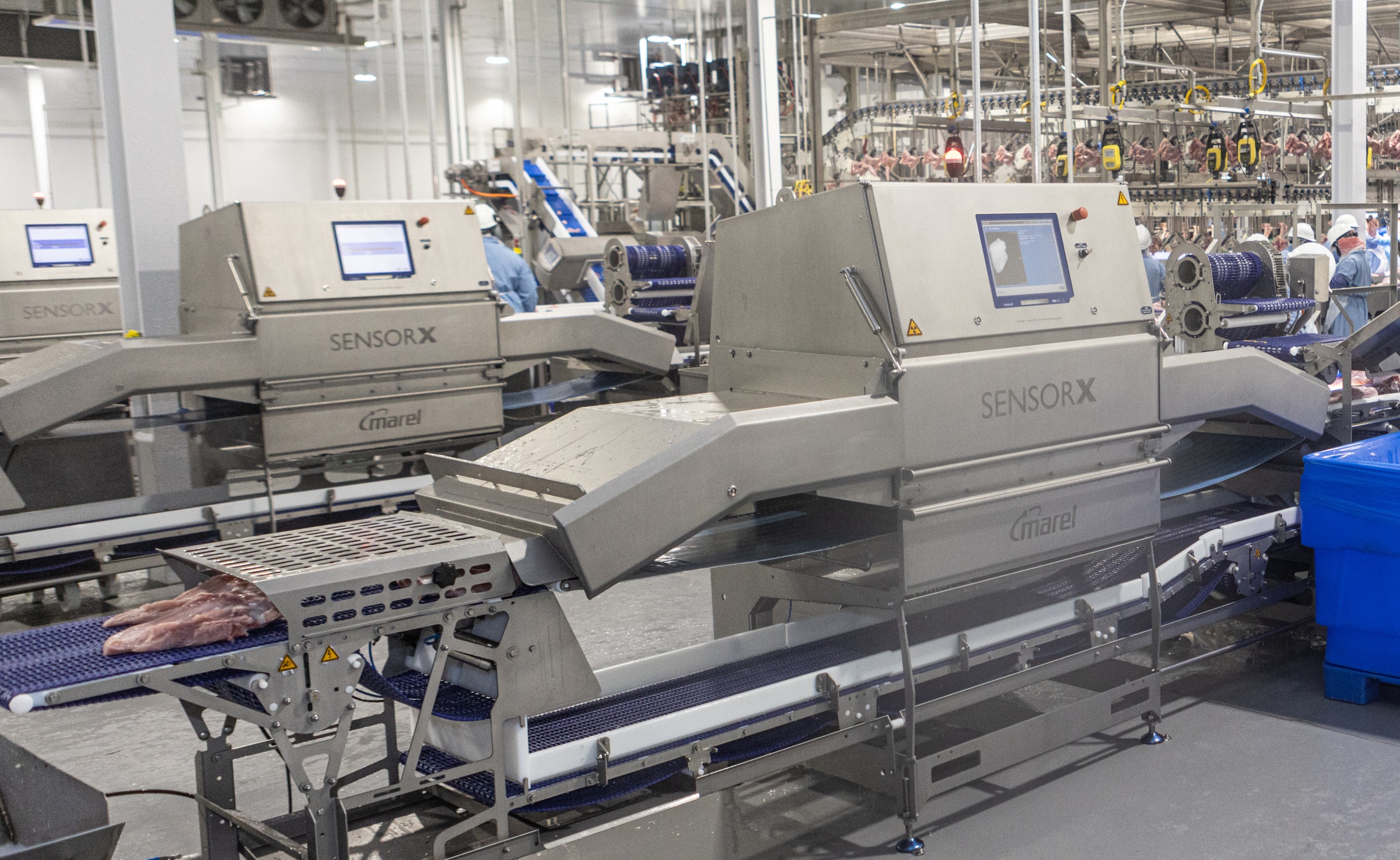 Sensor X Smart Short - Makelis