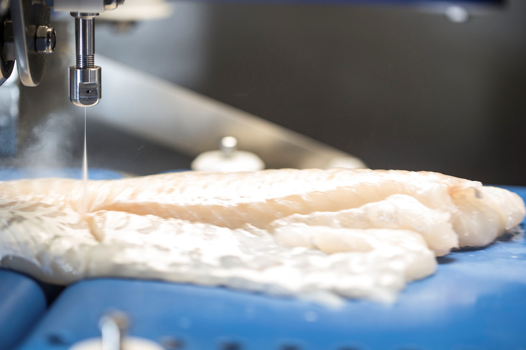 Μηχάνημα για αφαίρεση Pinbones, τριμμάρισμα και κοπή - FleXicut - Makelis